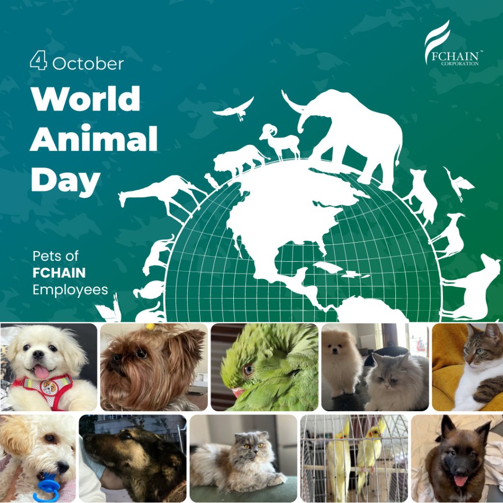 Happy World Animal Day!