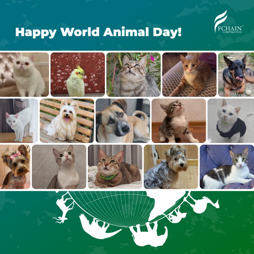 Happy World Animal Day!